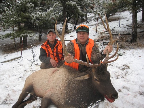 elk hunt | elk hunting | elk guide | elk outfitter | elk