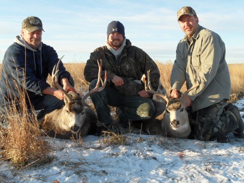 Montana Mule deer hunting guide and Outfitter in the Missouri river breaks